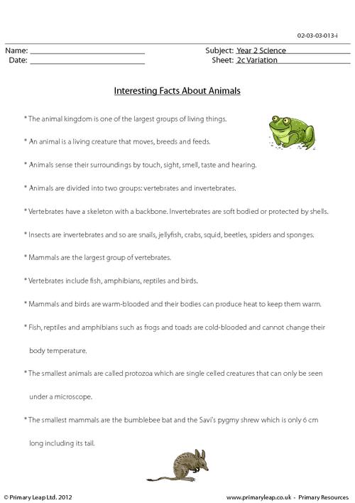 Year 2: Science Printable Resources & Free Worksheets for Kids ...