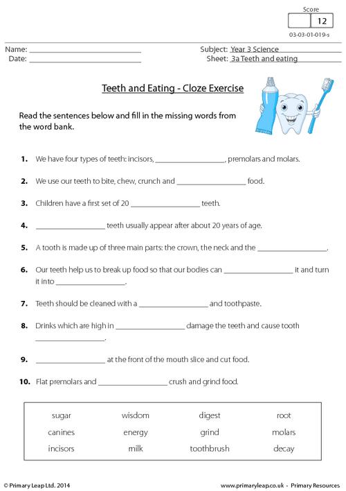 Science: Different types of teeth | Worksheet | PrimaryLeap.co.uk