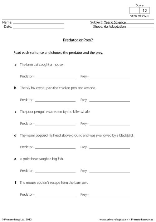 Science: Animal teeth fun facts | Worksheet | PrimaryLeap.co.uk