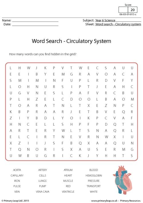 Science: Light and shadow word search | Worksheet | PrimaryLeap.co.uk