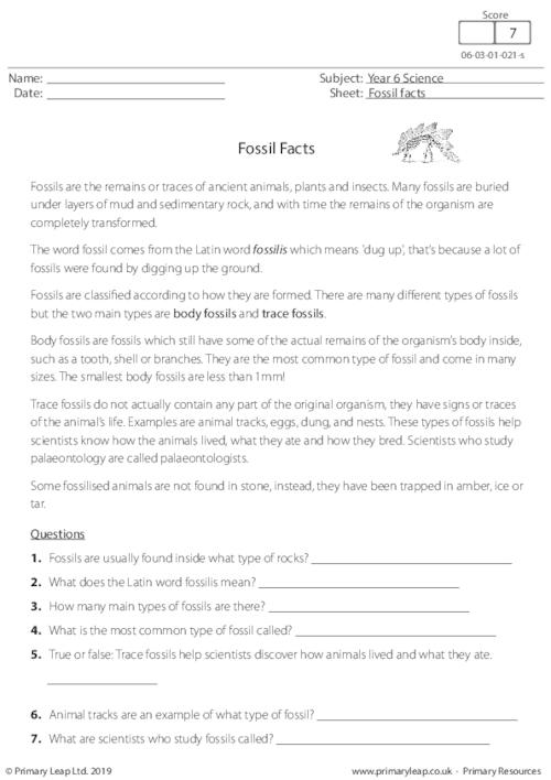 Science: Adapting to survive | Worksheet | PrimaryLeap.co.uk