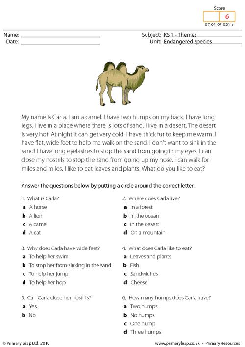 Year 2: Literacy Printable Resources & Free Worksheets for Kids ...