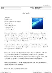 Literacy: Reading comprehension Blue whale | Worksheet | PrimaryLeap.co.uk