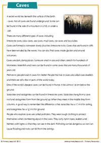 Geography: Reading Comprehension Rainforest Habitats | Worksheet ...